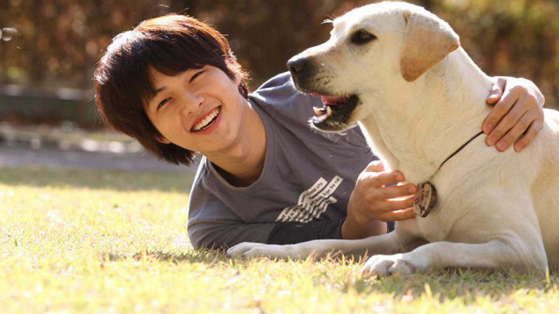 LOẠT PHIM ĐIỆN ẢNH CONAN - HTV3 DreamsTV